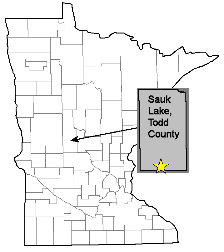 Sauk Centre Brick | Minnesota Bricks