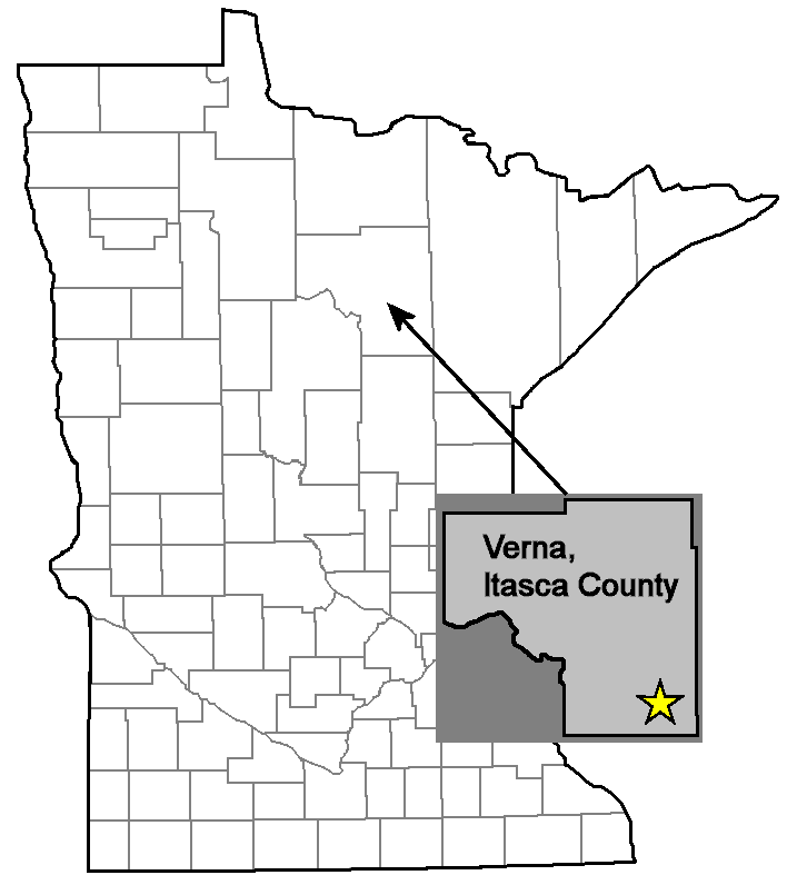 Verna Brick | Minnesota Bricks